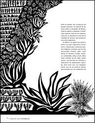 Los agaves de México